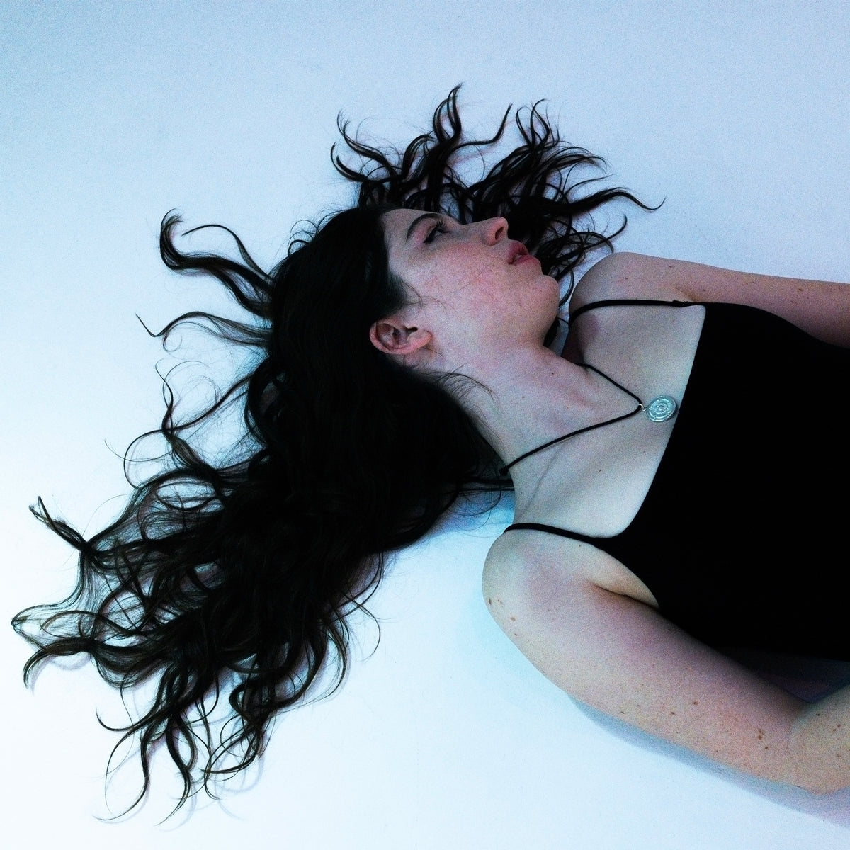 Disenchanter – Fat Possum Records